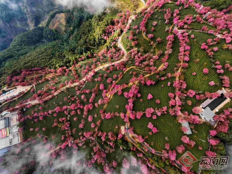 有一种叫云南的生活 - 云南政协