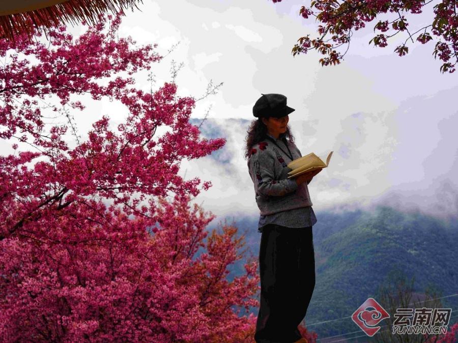 有一种叫云南的生活 - 云南政协