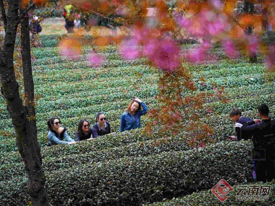 有一种叫云南的生活 - 云南政协